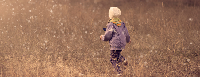 Bitmap Photography Multi