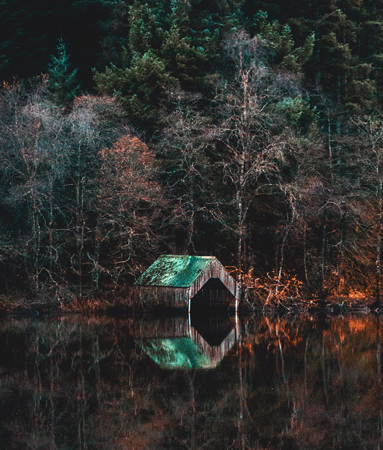 Bitmap Photography Multi